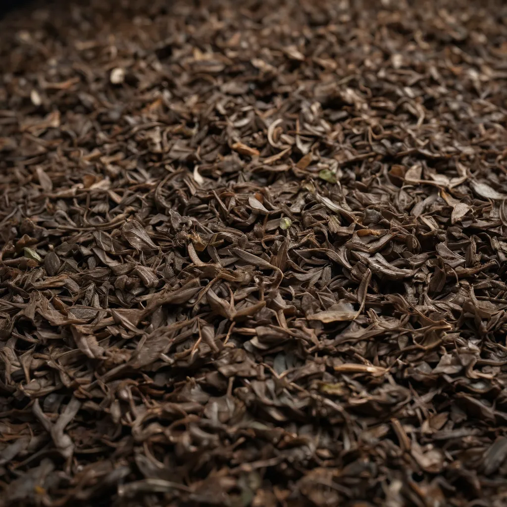 Exploring the Richness of Fermented Pu Erh Tea